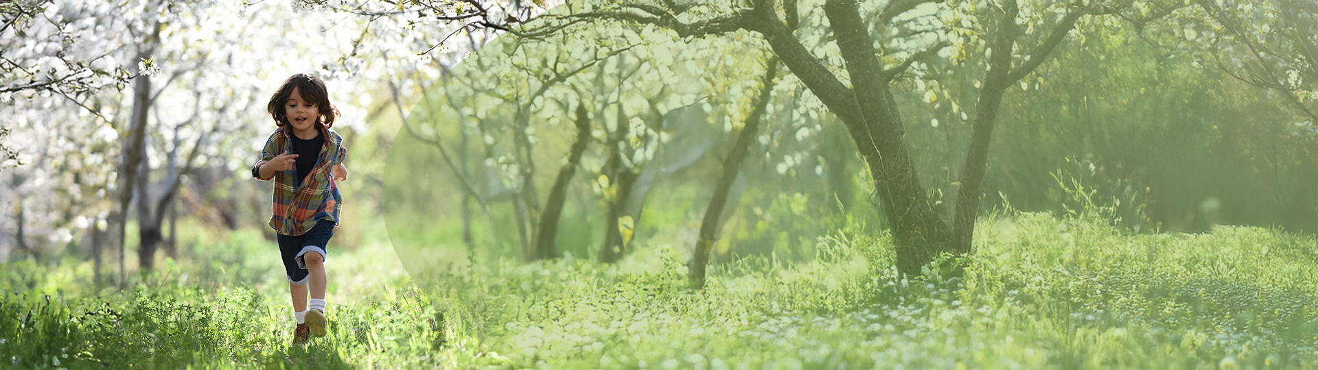 Prairie Spirit School Division – Learners for Life